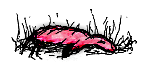 Crafting reference for One Hour One Life